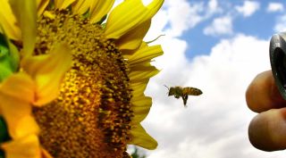 Making Art With a Mobile Camera Lens - Consumer Reports