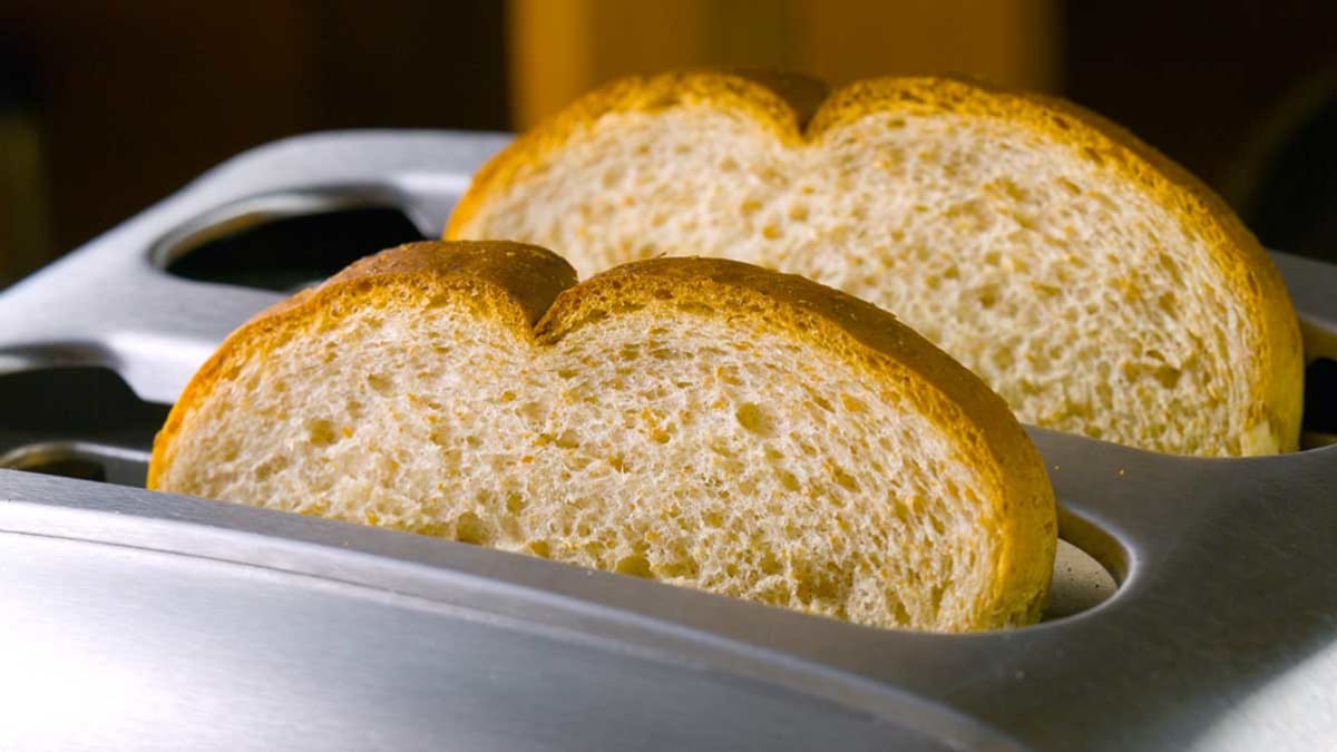 Best Toaster Buying Guide - Consumer Reports