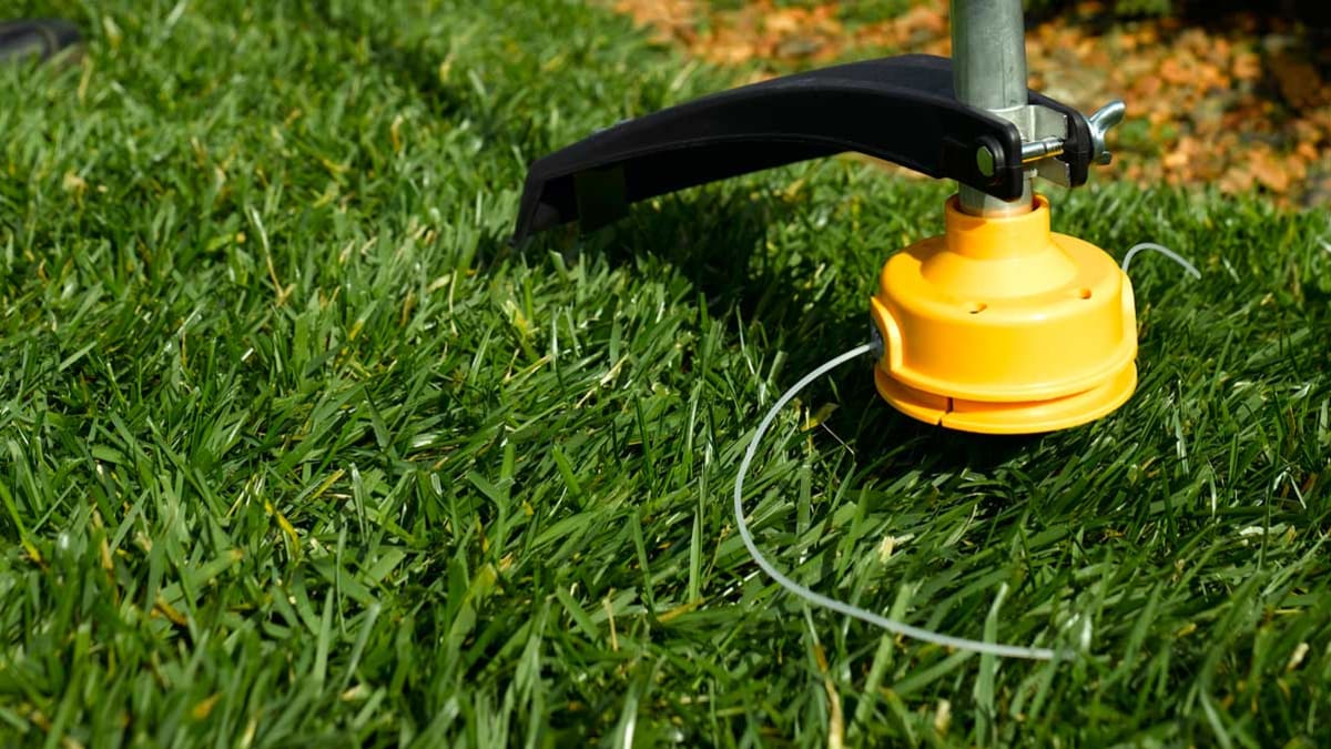 Best String Trimmer Buying Guide - Consumer Reports