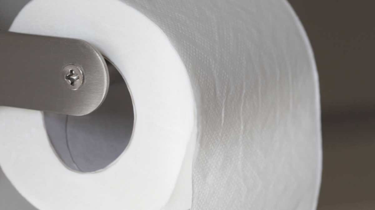 Best Toilet Paper Buying Guide - Consumer Reports