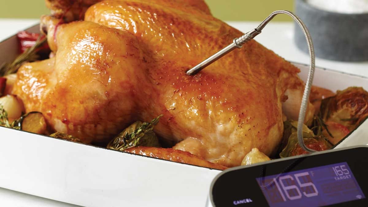 Best Meat Thermometer Buying Guide - Consumer Reports