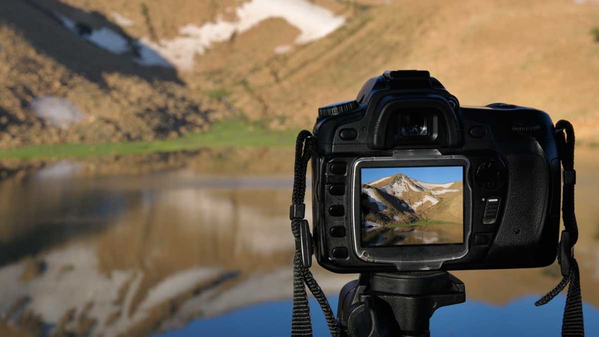 Best Camera Buying Guide - Consumer Reports