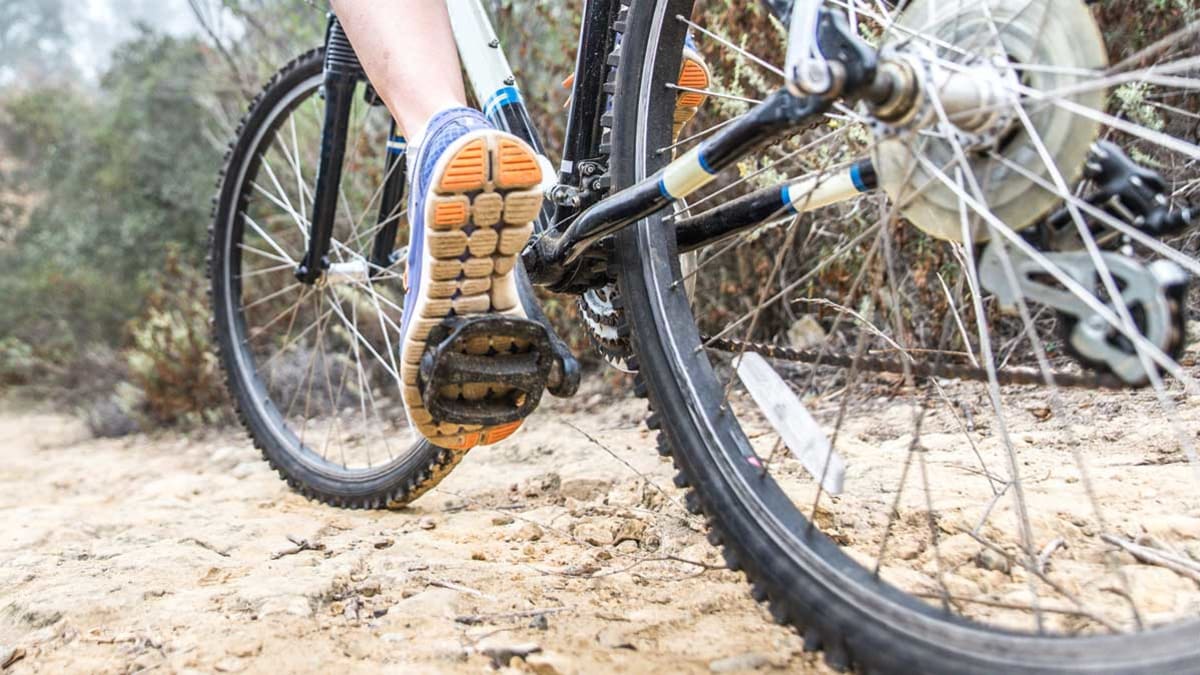 Best Bike Buying Guide - Consumer Reports