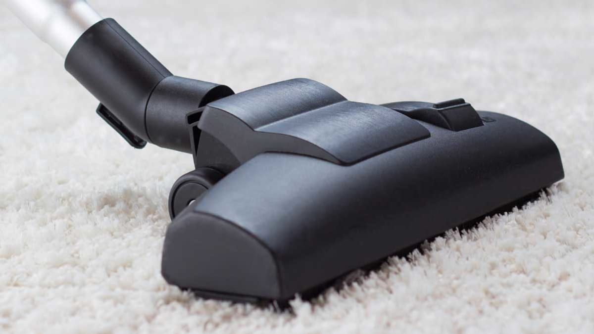 Best Vacuum Cleaner Buying Guide - Consumer Reports