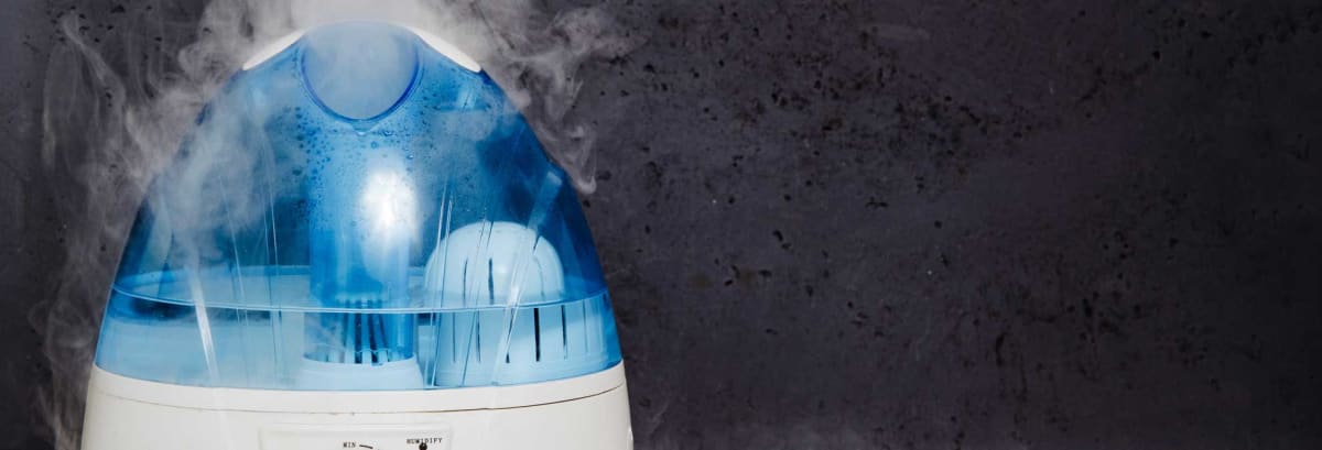 Best Humidifier Buying Guide - Consumer Reports