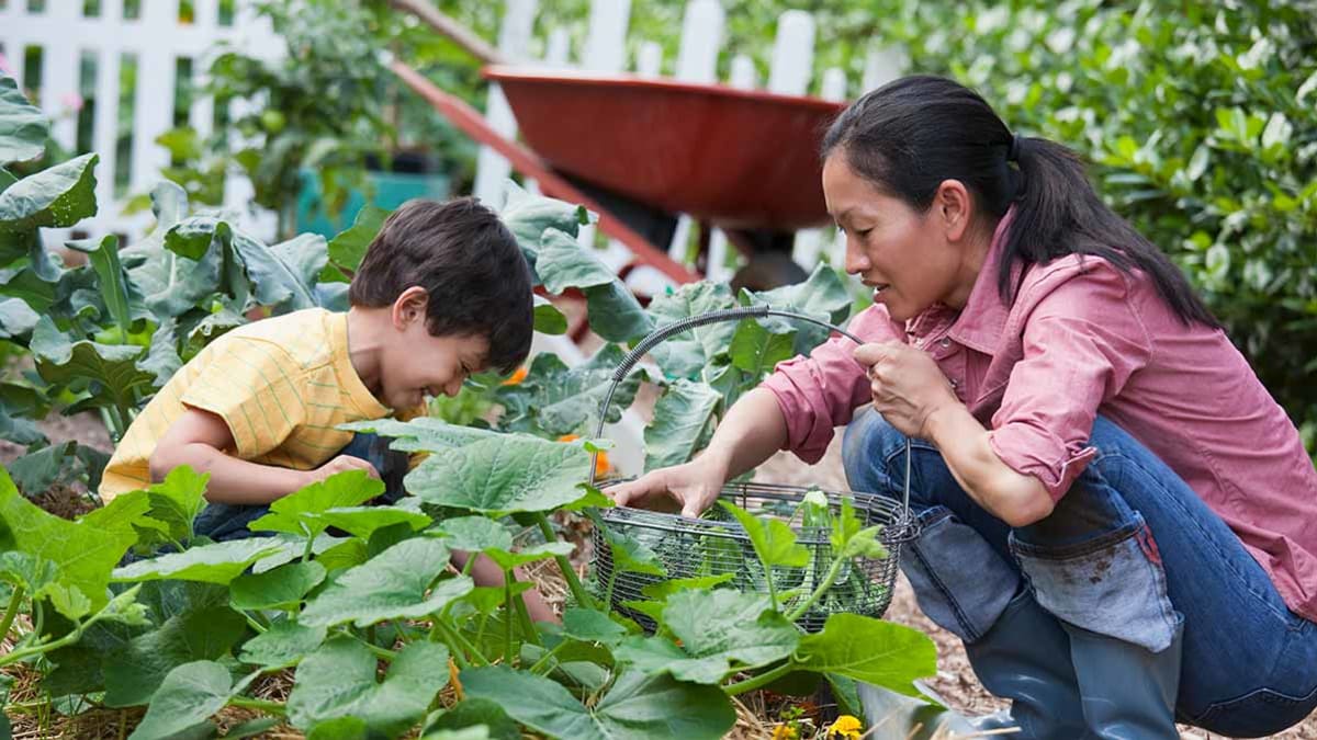 Easy Tips to Grow Your Best Garden - Consumer Reports