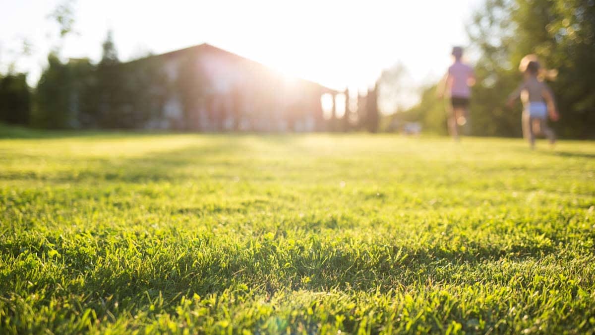 Lawn & Garden - Consumer Reports