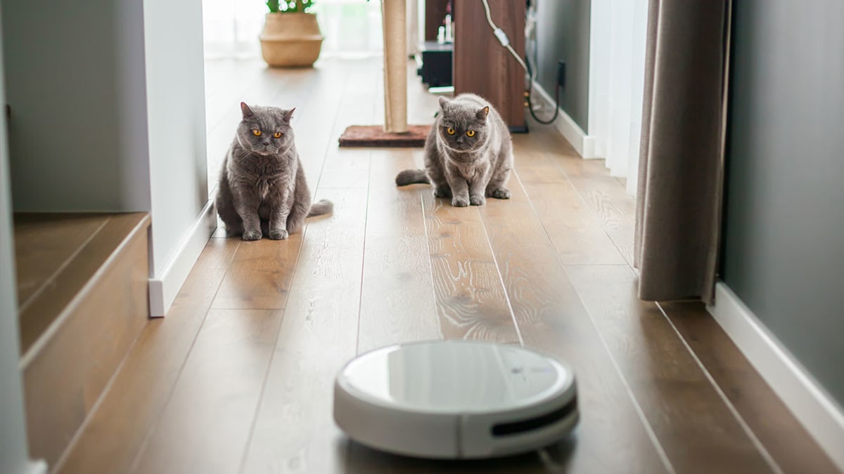 Best Robotic Vacuums For Pet Hair Consumer Reports