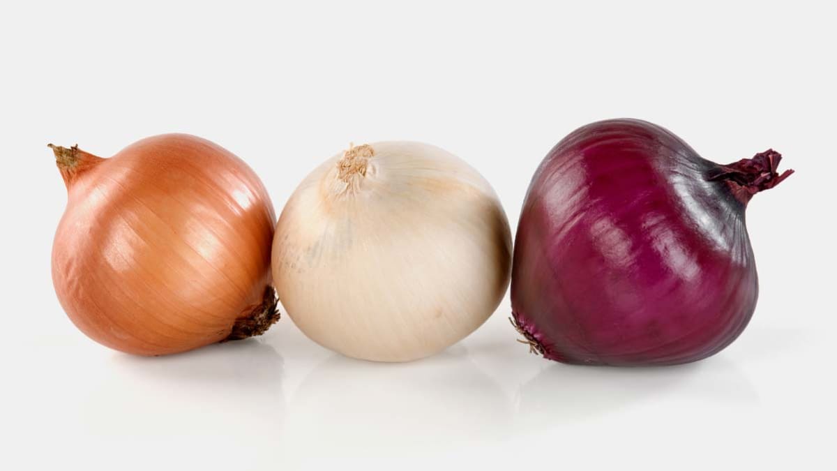 Onions Recalled Due to Salmonella - Consumer Reports