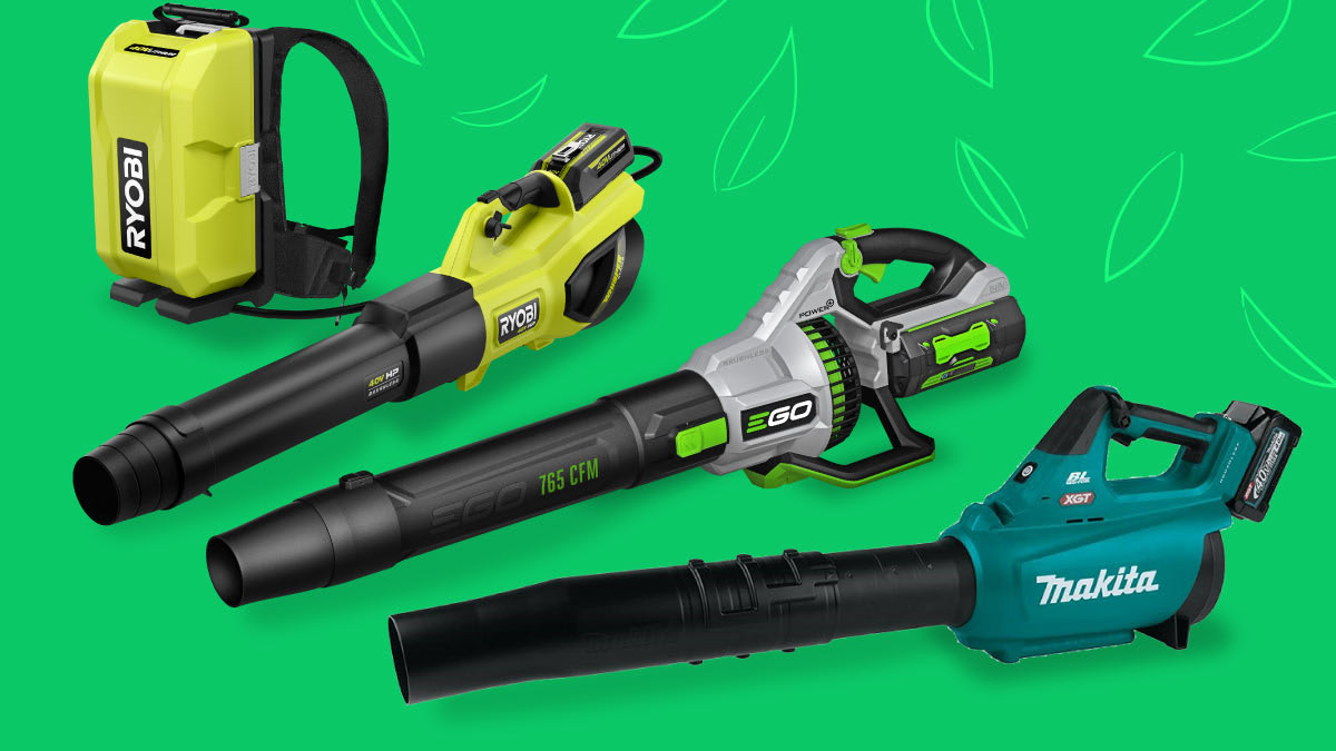 Best Cordless Leaf Blowers of 2023 - Consumer Reports