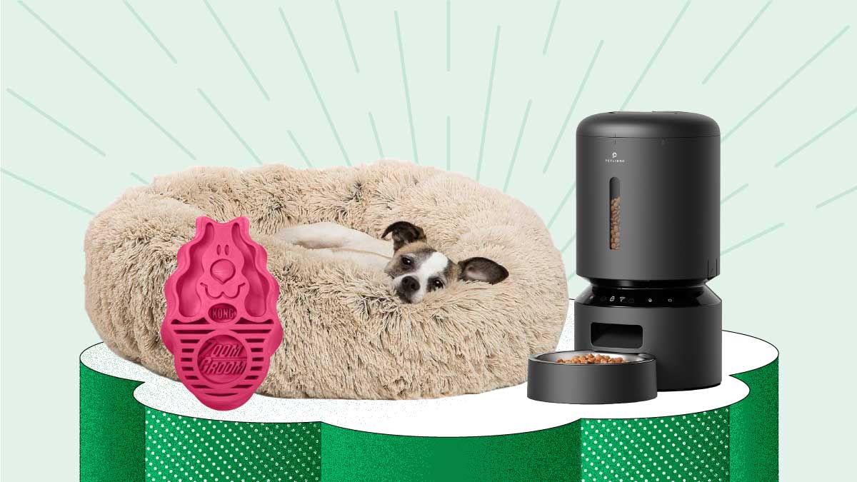 25 Best Gifts for Dog Lovers, According to Dog Owners - Consumer Reports