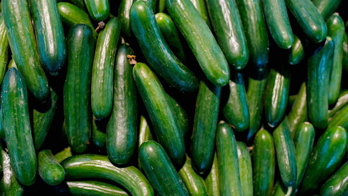 Cucumbers Recalled for Salmonella Contamination | SunFed, Baloian ...