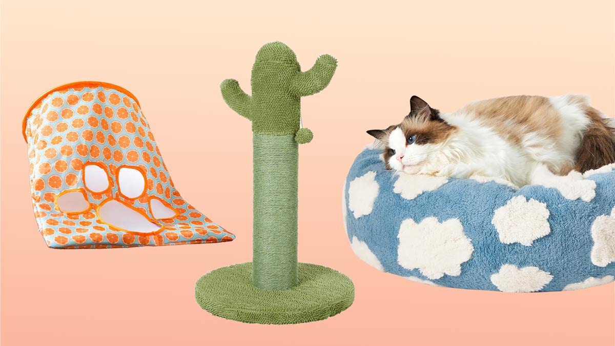 21 Best Gifts for Cat Lovers, According to Cat Owners - Consumer Reports