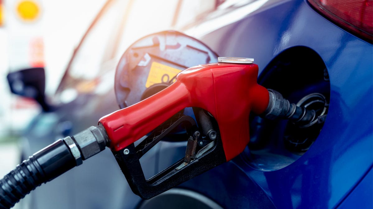 New and Used Car Reviews and Ratings - Consumer Reports