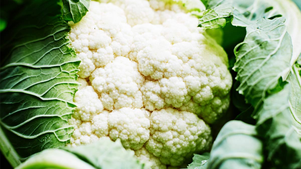 Do White Vegetables Have Health Benefits? - Consumer Reports