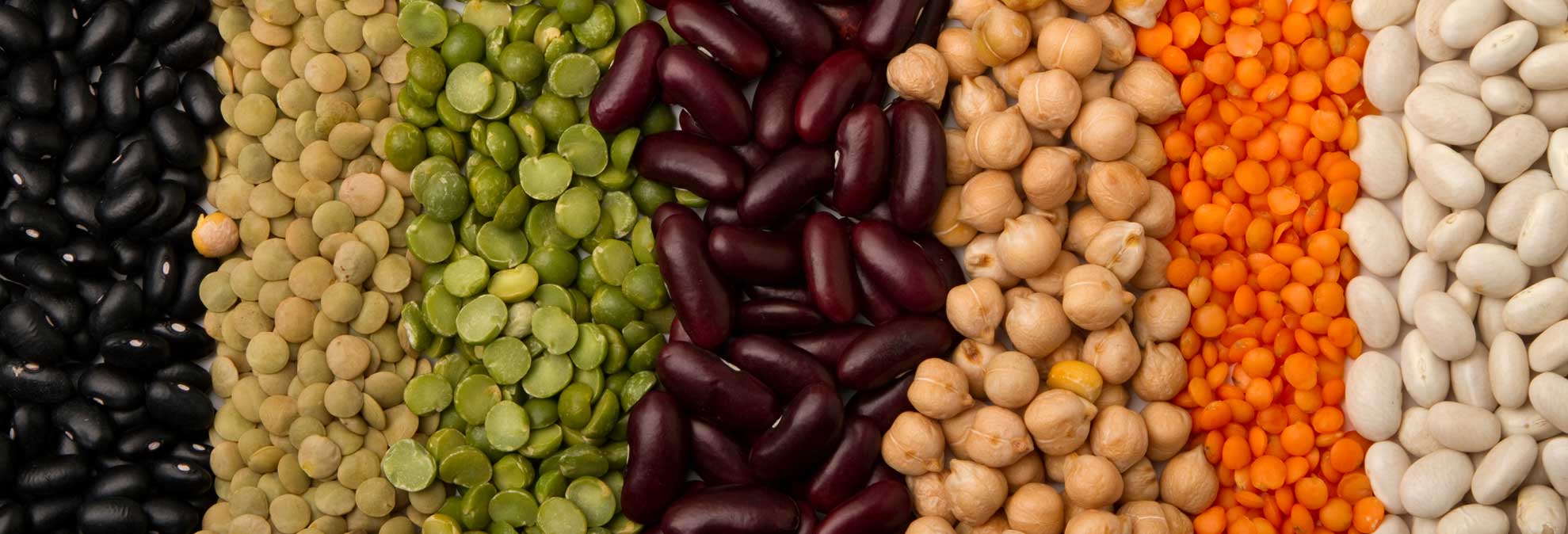 Pulses Are the New Summer Superfood - Consumer Reports