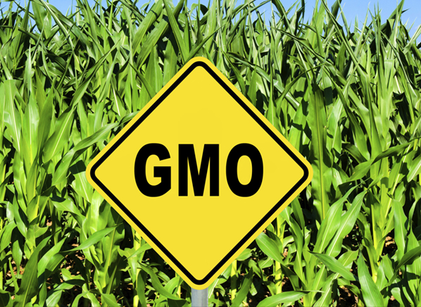 GMOS in Food - Consumer Reports