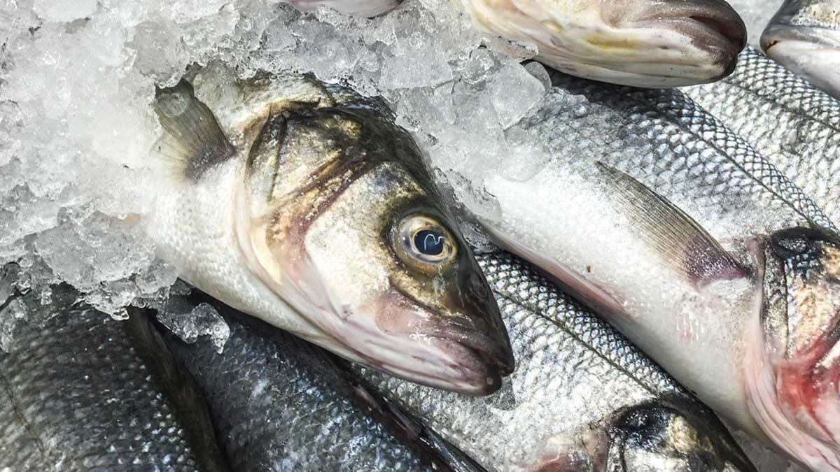 Keep Your Seafood Safe - Consumer Reports
